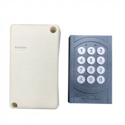 Intrabox Data Mini HF + clavier codé : 1 module Data comprenant 1 récepteur HF intégré+1 clavier ...